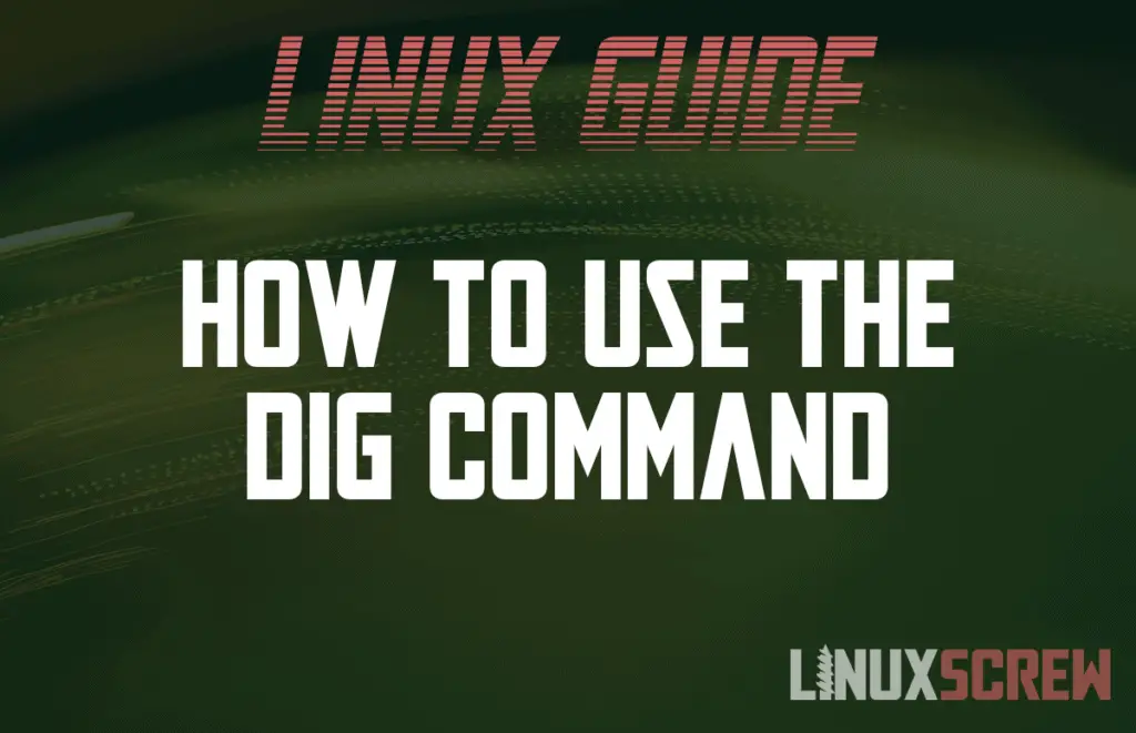 How to Use the Dig Command [With Examples]