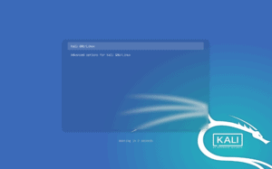How to Install Kali Linux [Easy Guide]